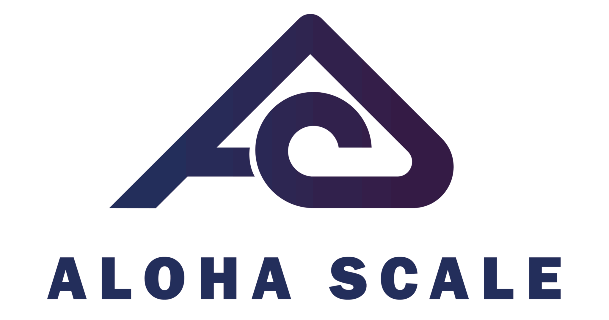 Aloha Business & Software Solutions